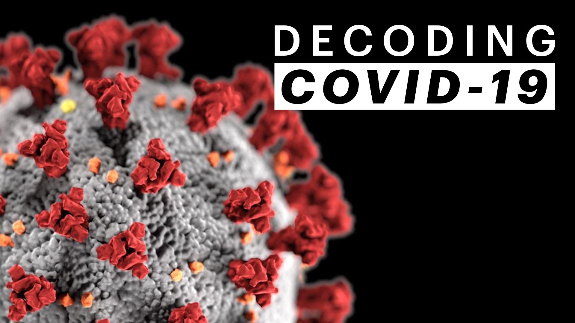WCTE/PBS Presents Decoding COVID-19 on NOVA